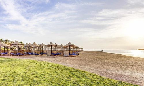 TUI Magic Life Kalawy Mısır | Updated Prices | Book in 30 Seconds ...