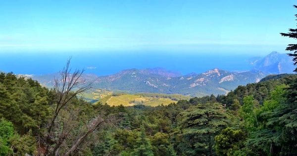 Otelz.com | Hotels in Beycik | Book in 30 Seconds | Otelz.com