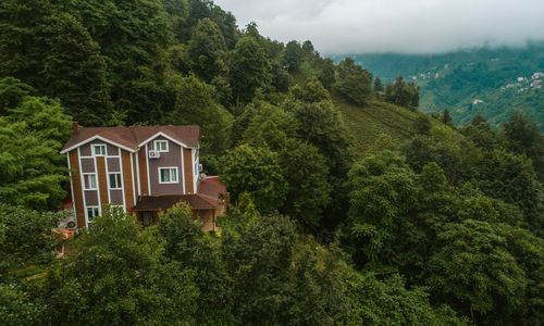 Petra Suit Bungalow Villa Rize Rezervasyon | Otelz.com